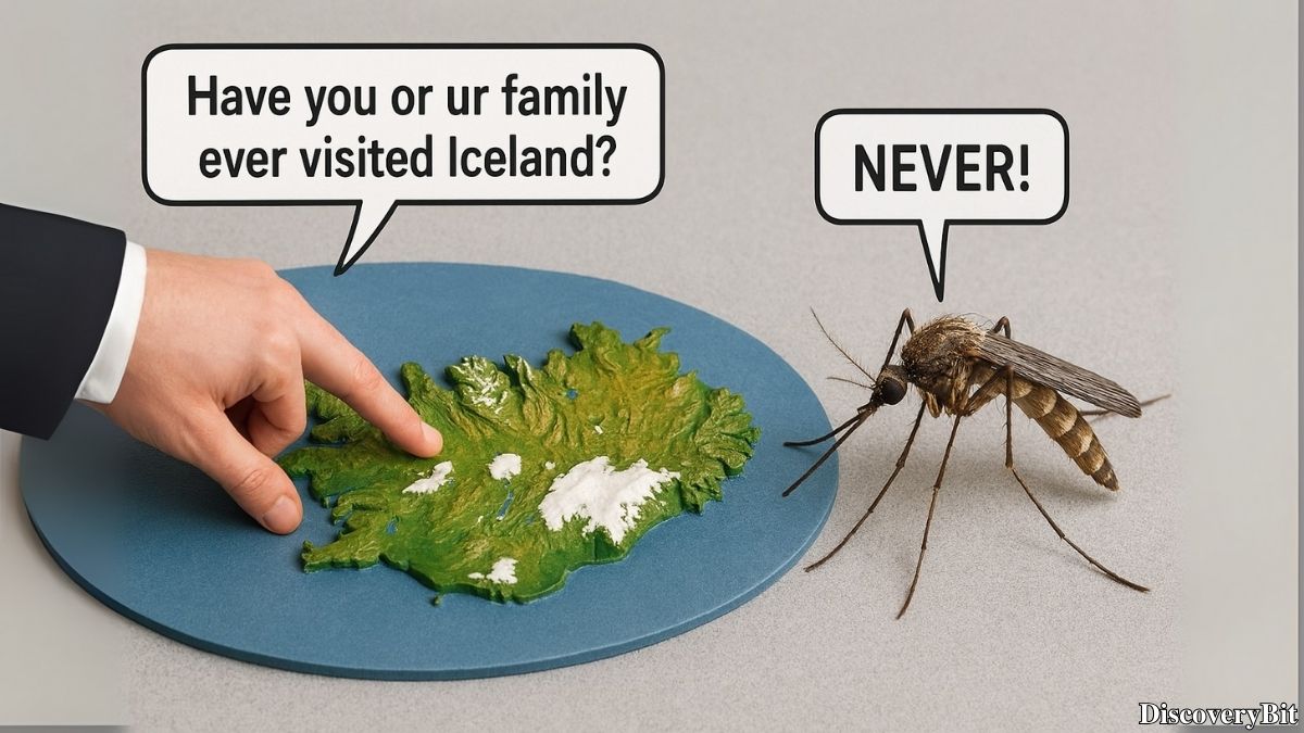 258 Random Fun Facts You’ll Want To Share Immediately – Discovery Bit