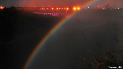 Ultimate Guide To Rainbow Colors: Order, Science, History, And More ...