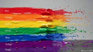 Ultimate Guide To Rainbow Colors: Order, Science, History, And More – Discovery Bit