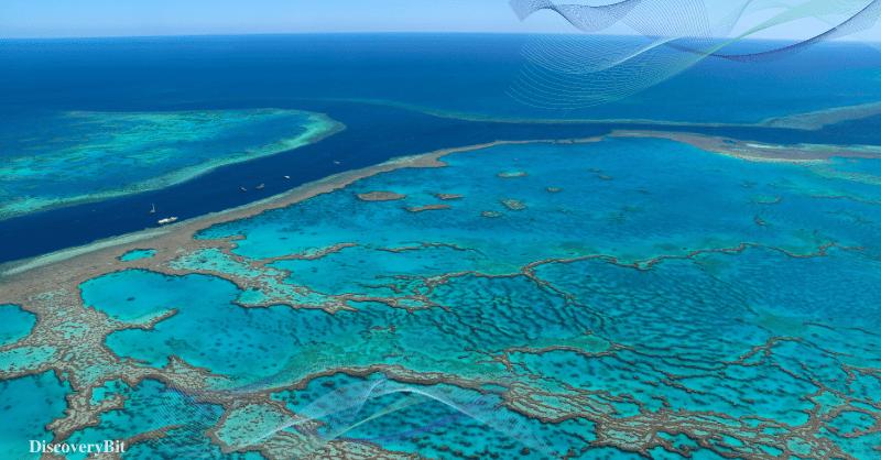 Reef Reckoning: Unveiling Concerns And Threats To The Great Barrier ...