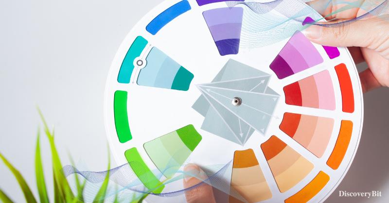 Decode Your Style: What Your Favorite Color Reveals – Discovery Bit