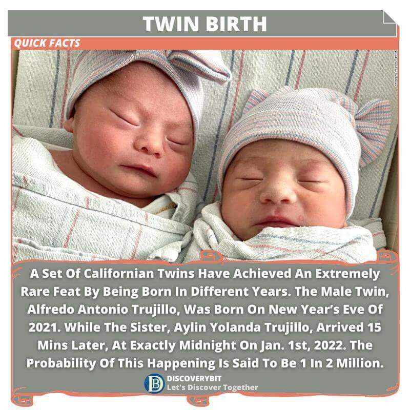 Twin Facts: 40 Fascinating Insights – Discovery Bit