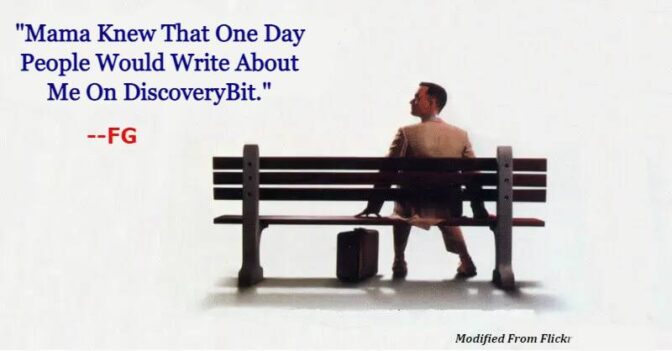 Forrest Gump Movie And Its Many Faces – Discovery Bit